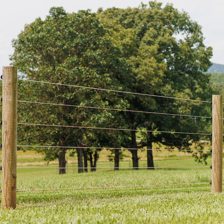 Building a Horse Fence Yourself Without Cutting Corners – Cameo™ Fence LLC