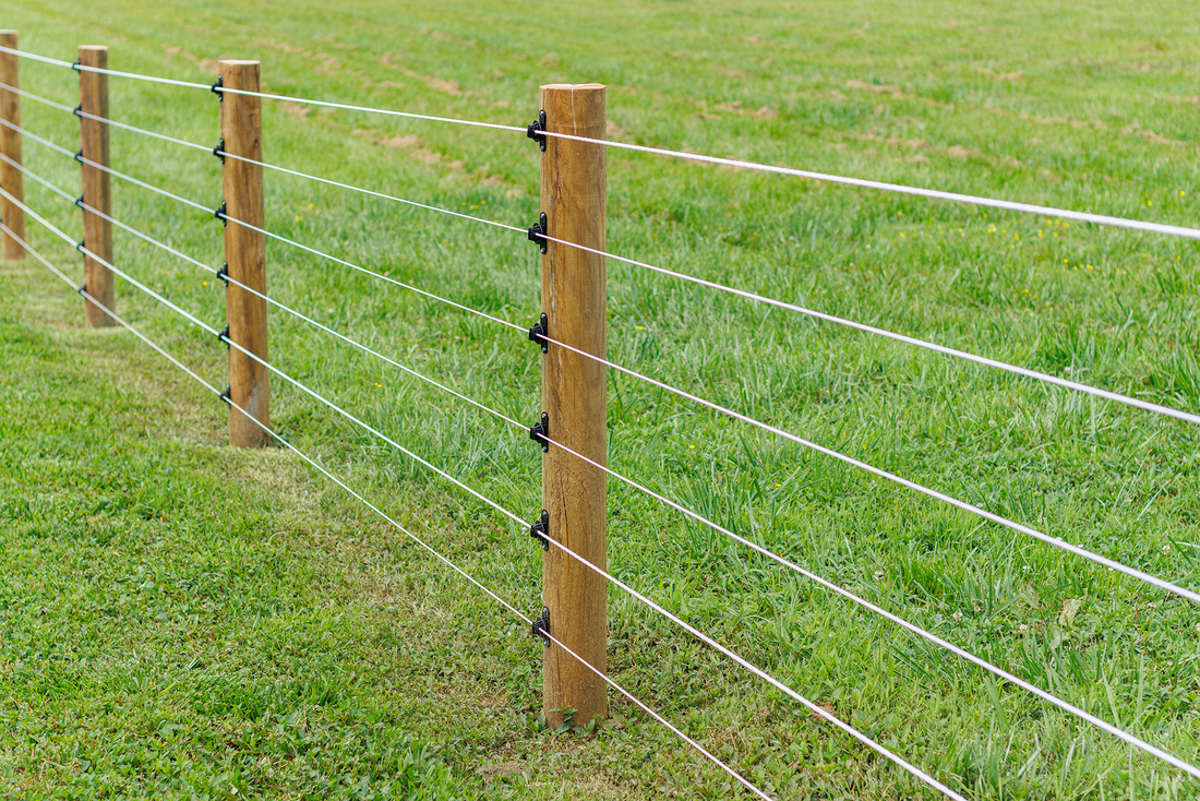 Case Study: Replacing a Failing Wood Horse Fence with Cameo™ – Cameo ...