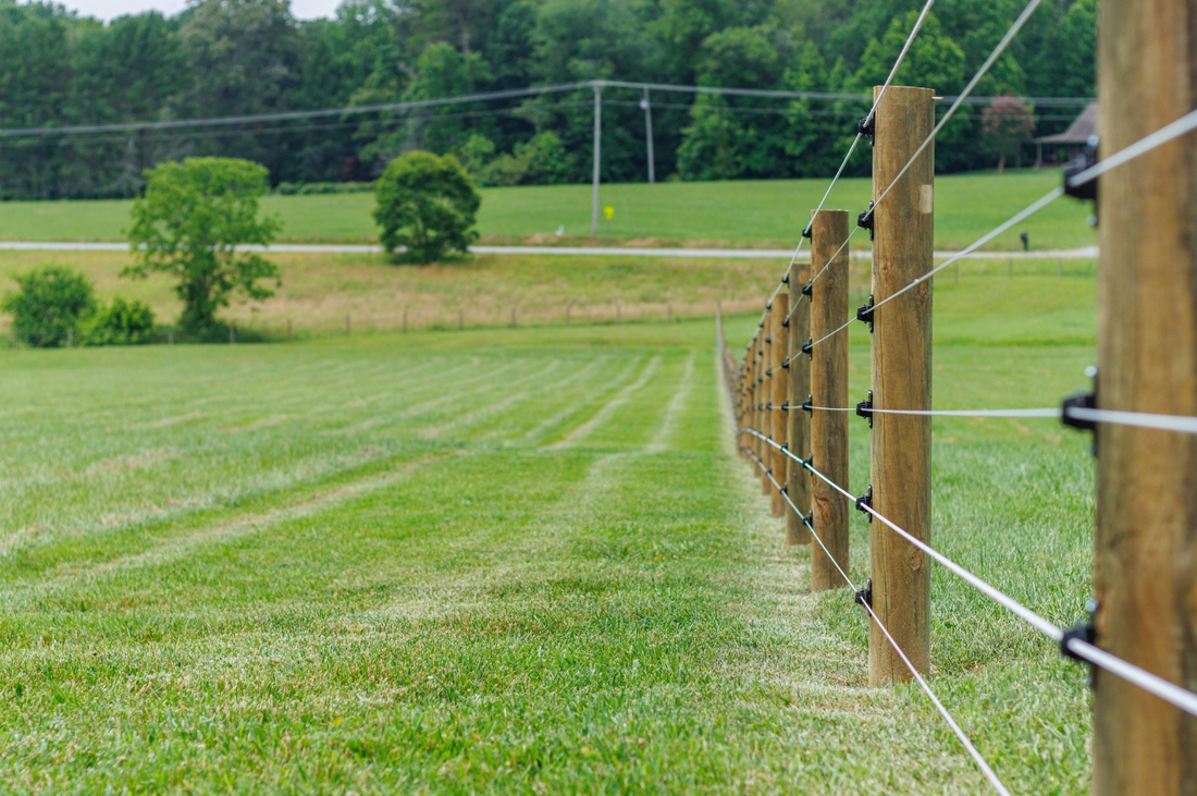 Case Study: How One Fence Upgrade Changed the Way an Entire Property W ...