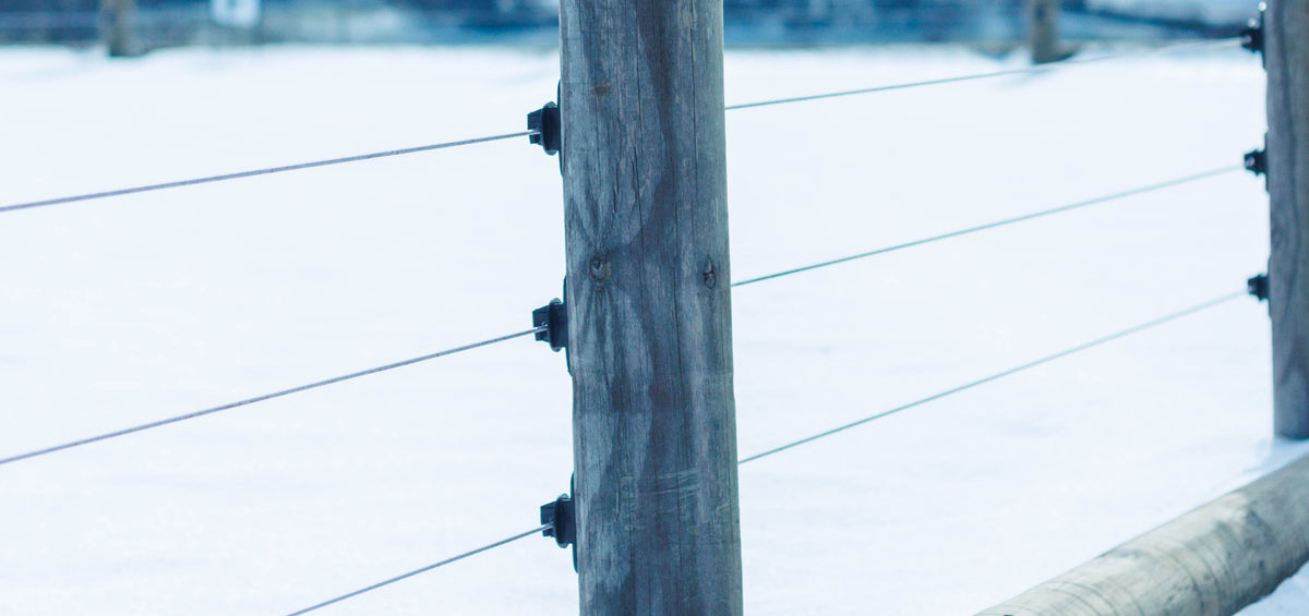 Spring Fence Maintenance Tips to Keep Your Pasture Safe and Secure